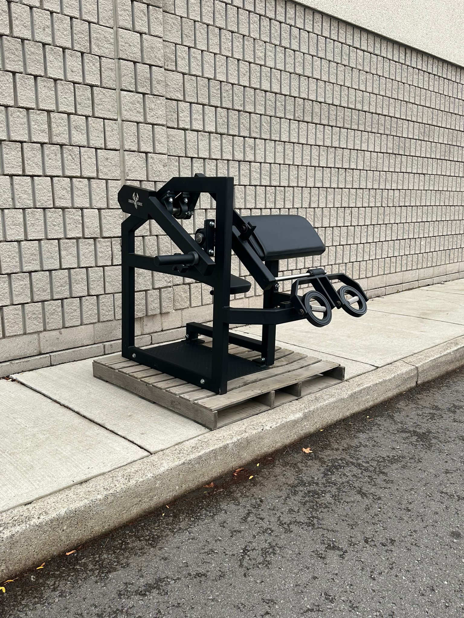 SEATED BICEP, PLATE LOADED – Pure Muscle + Athletics