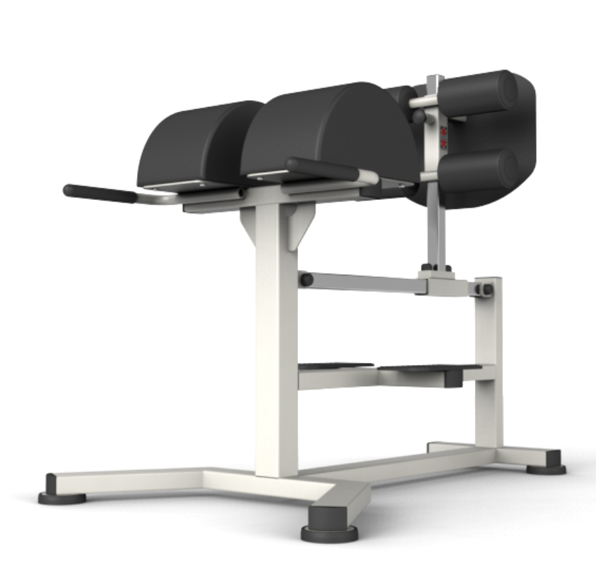 Roman Chair – Pure Muscle + Athletics