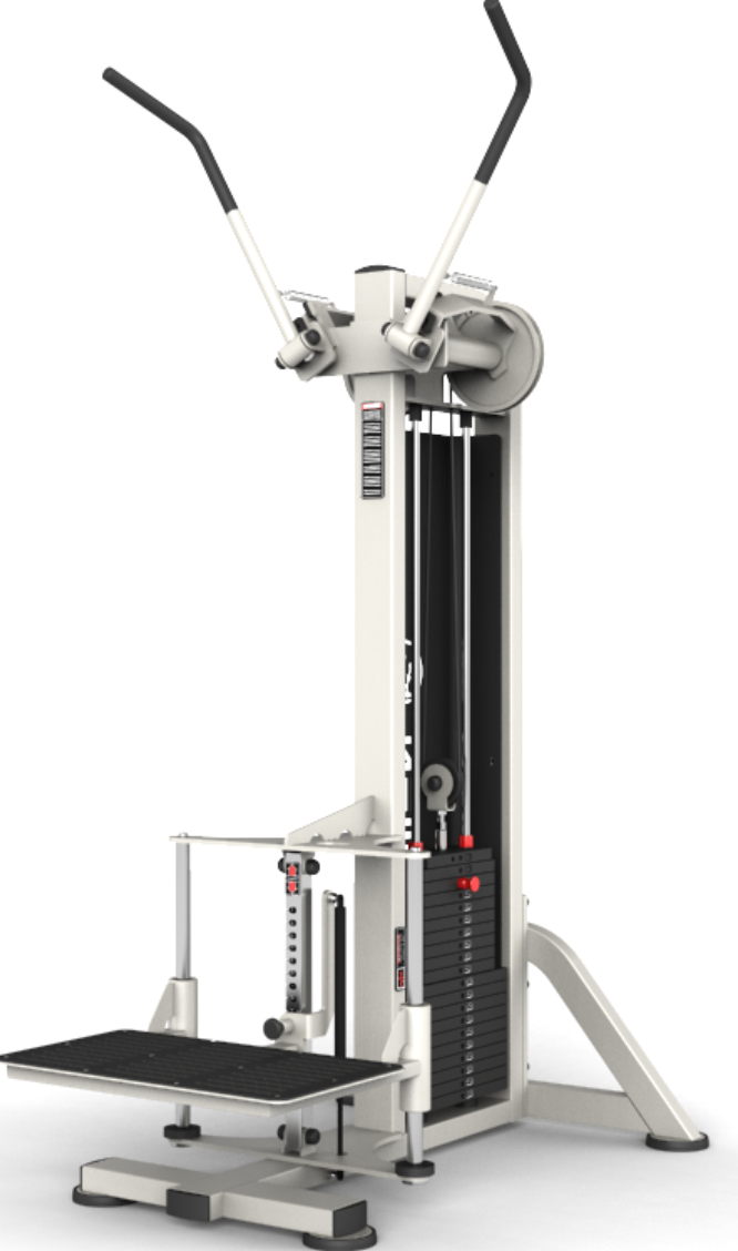 Advanced Line Standing Fly Chest & Back – Pure Muscle + Athletics