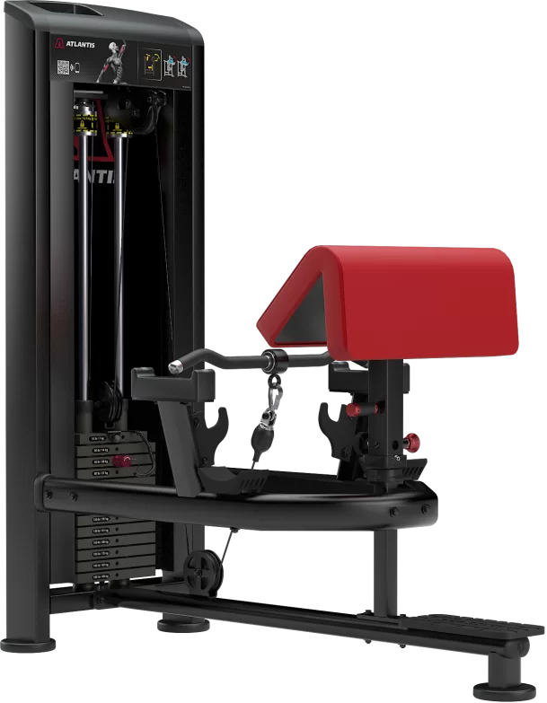 Standing Bicep Curl Pure Muscle Athletics