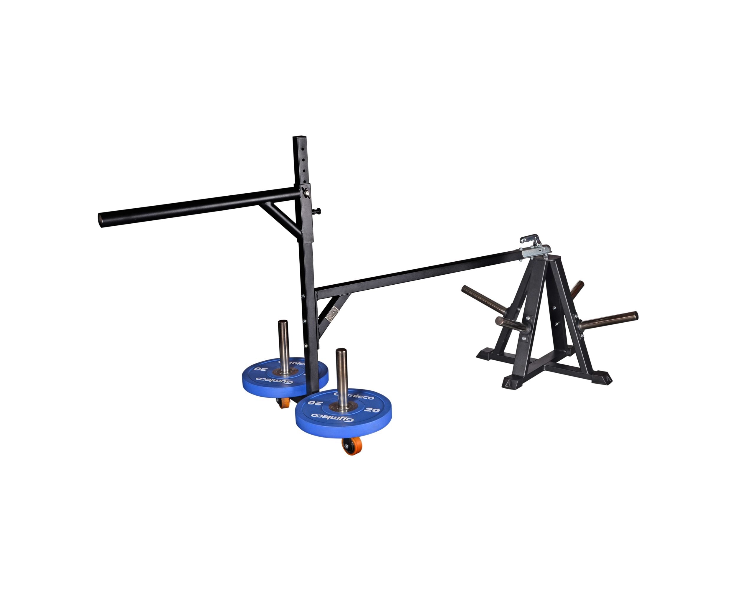 CONAN CIRCLE W/ WEIGHT STACK – Pure Muscle + Athletics