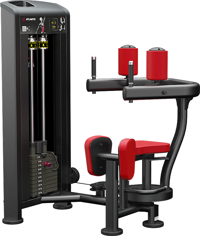 Abdominal rotation – Pure Muscle + Athletics