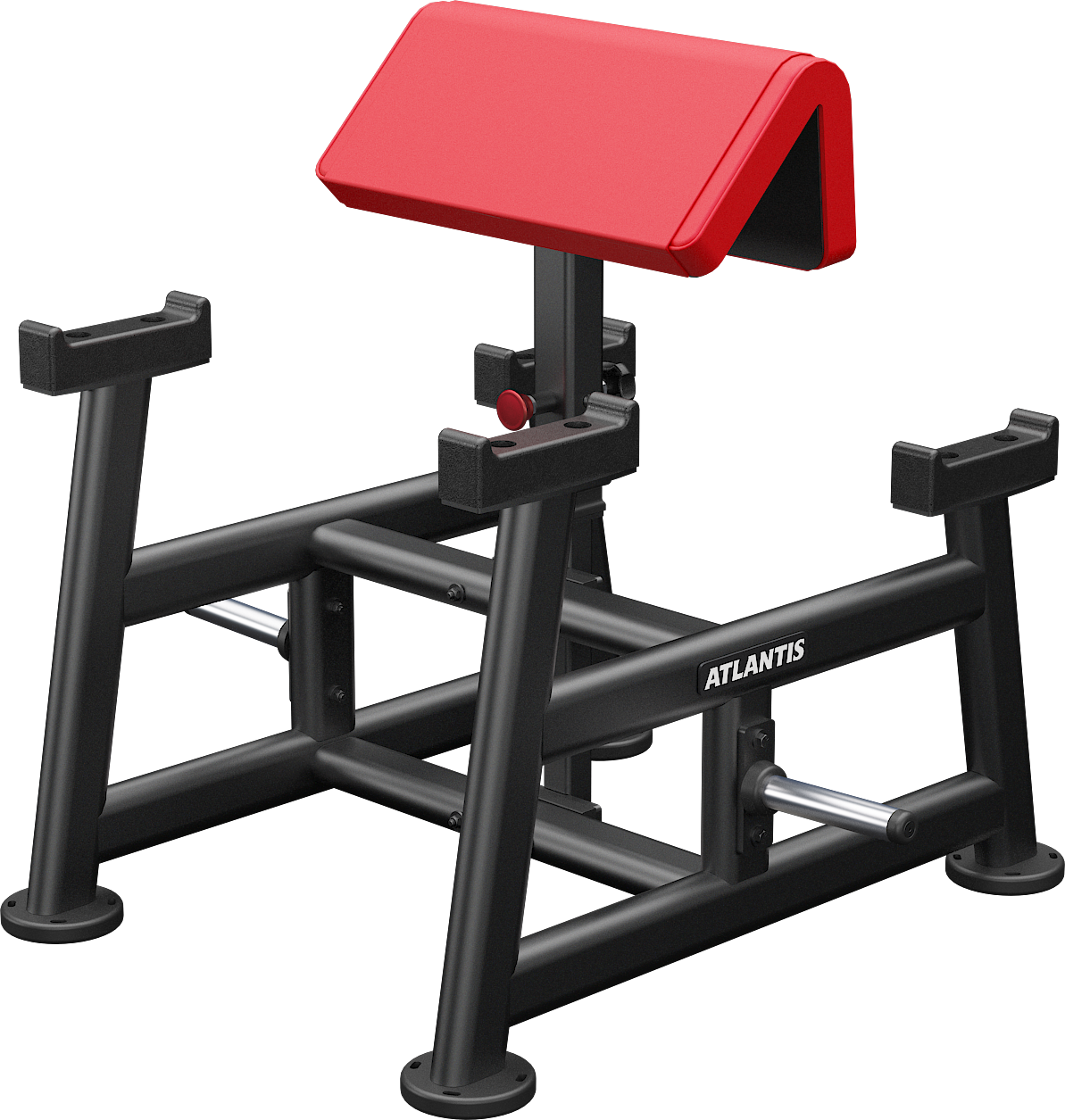 Standing preacher curl – Pure Muscle + Athletics