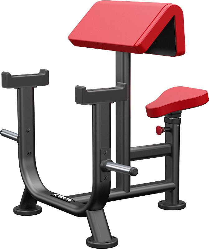 Seated preacher curl – Pure Muscle + Athletics