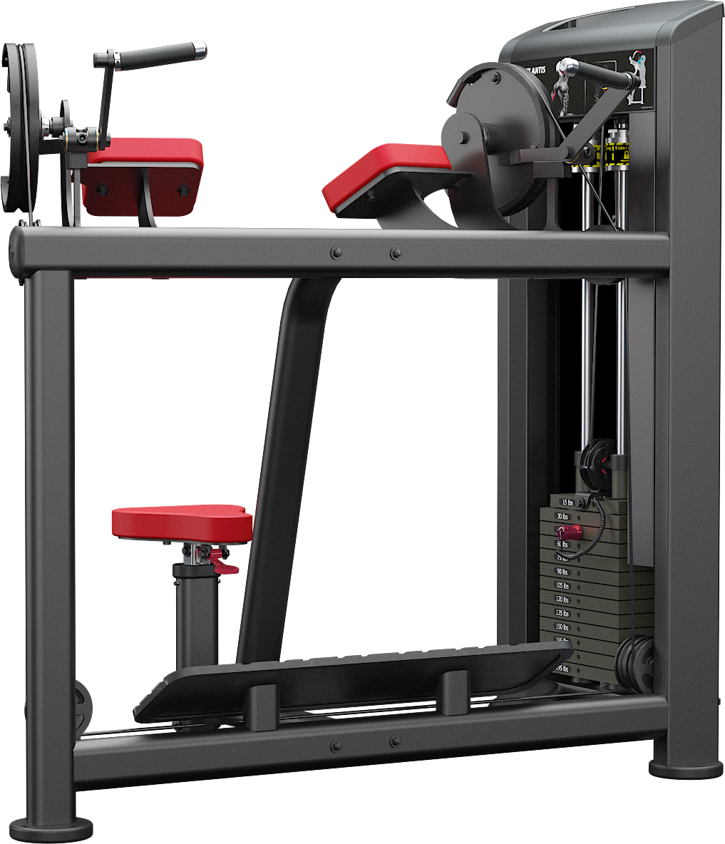 Horizontal biceps isolator – Pure Muscle + Athletics