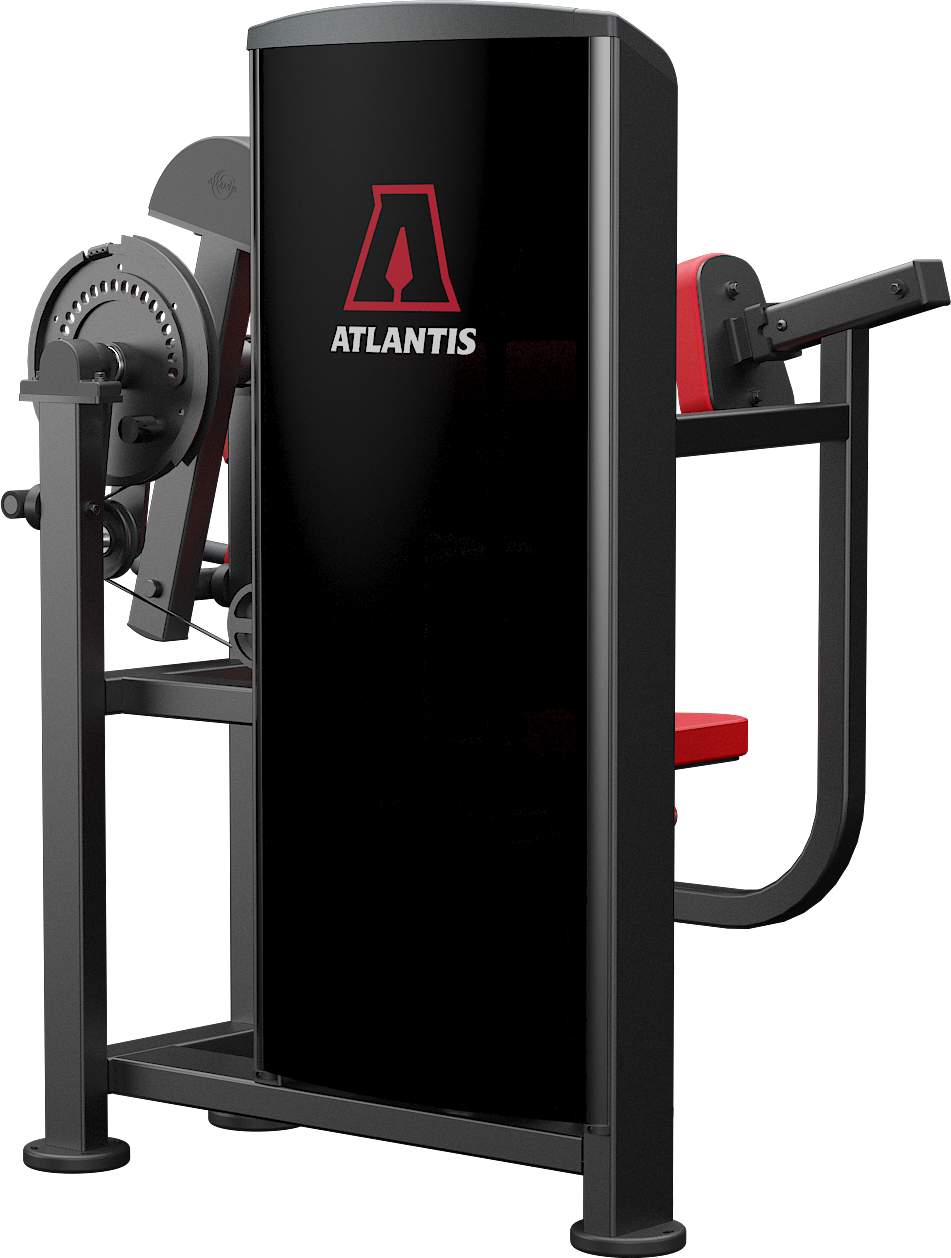 Biceps-triceps combo machine – Pure Muscle + Athletics