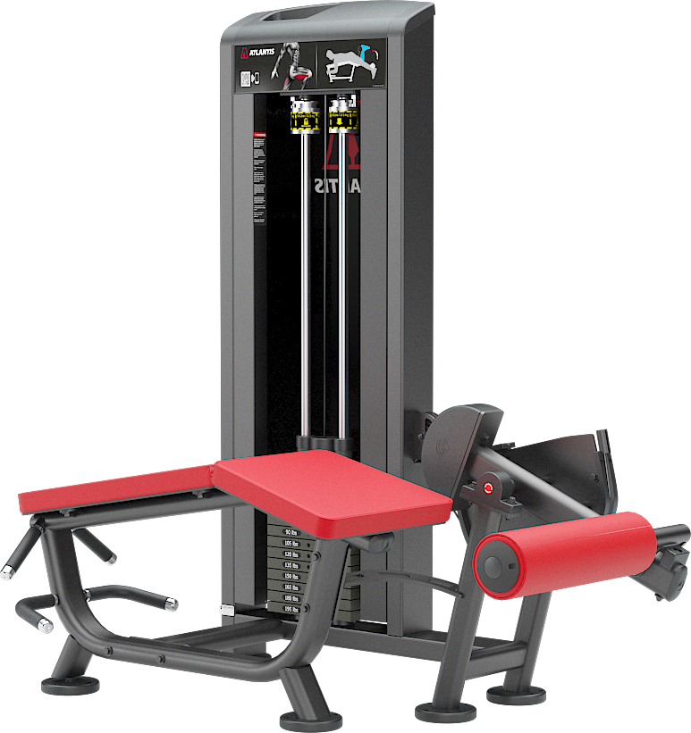 Lying leg curl – Pure Muscle + Athletics