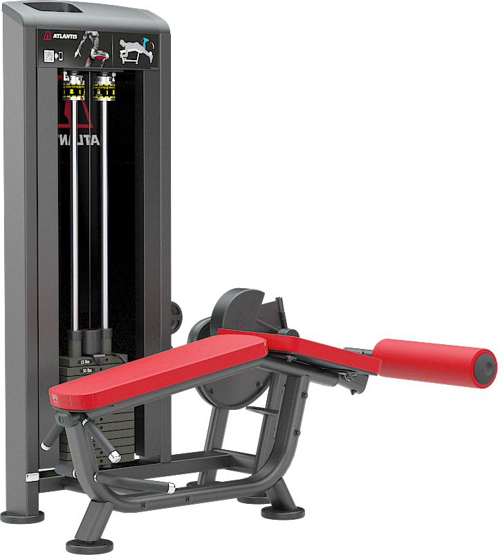 Lying leg curl – Pure Muscle + Athletics