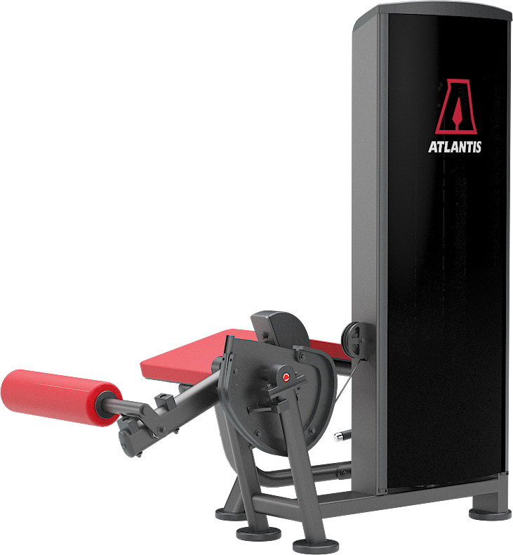 Lying leg curl – Pure Muscle + Athletics