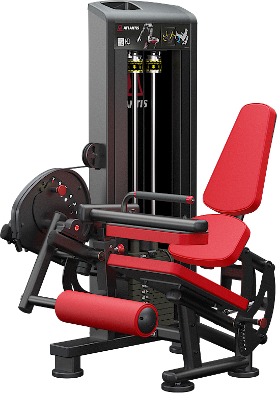 Seated leg curl – Pure Muscle + Athletics