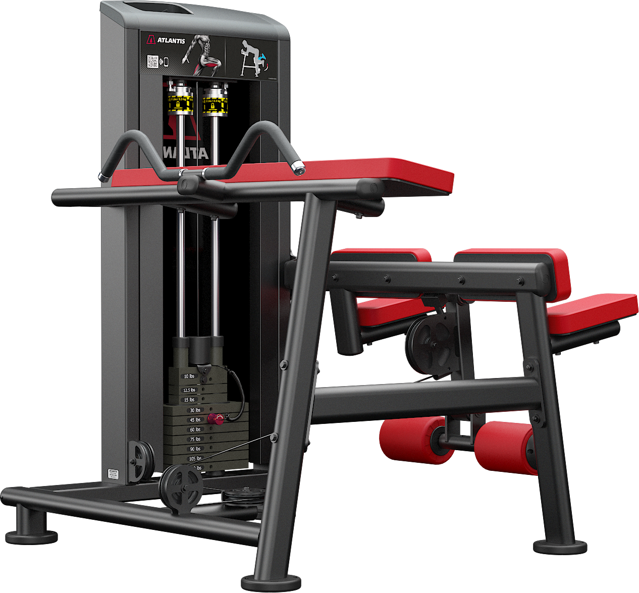 Kneeling leg curl – Pure Muscle + Athletics