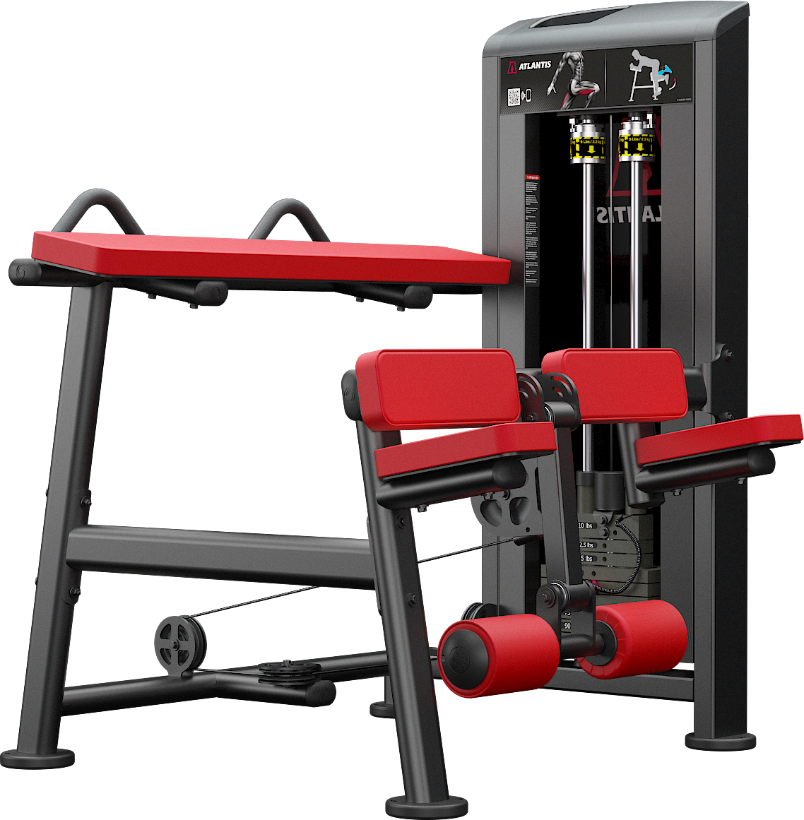 Kneeling leg curl – Pure Muscle + Athletics