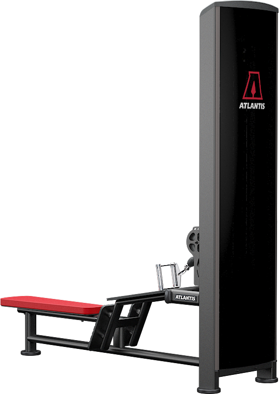 Low row – Pure Muscle + Athletics