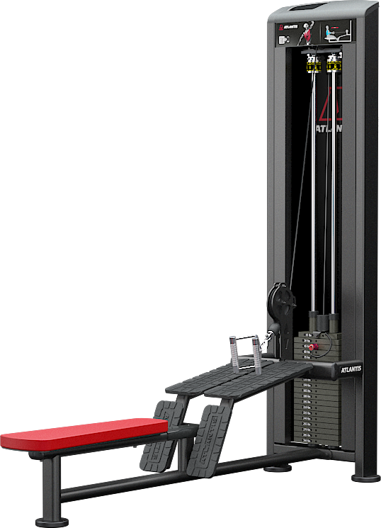 Low row – Pure Muscle + Athletics