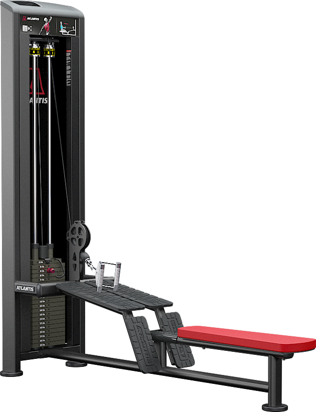 Low row – Pure Muscle + Athletics