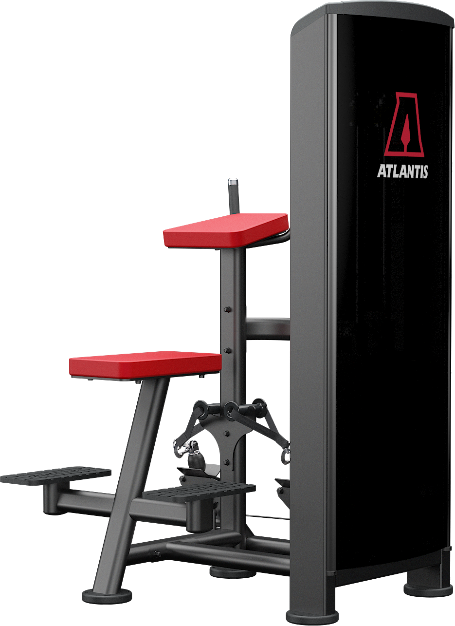 Vertical row – Pure Muscle + Athletics