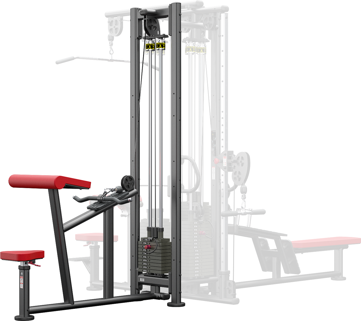 Horizontal bicep curl (B158 model) – Pure Muscle + Athletics
