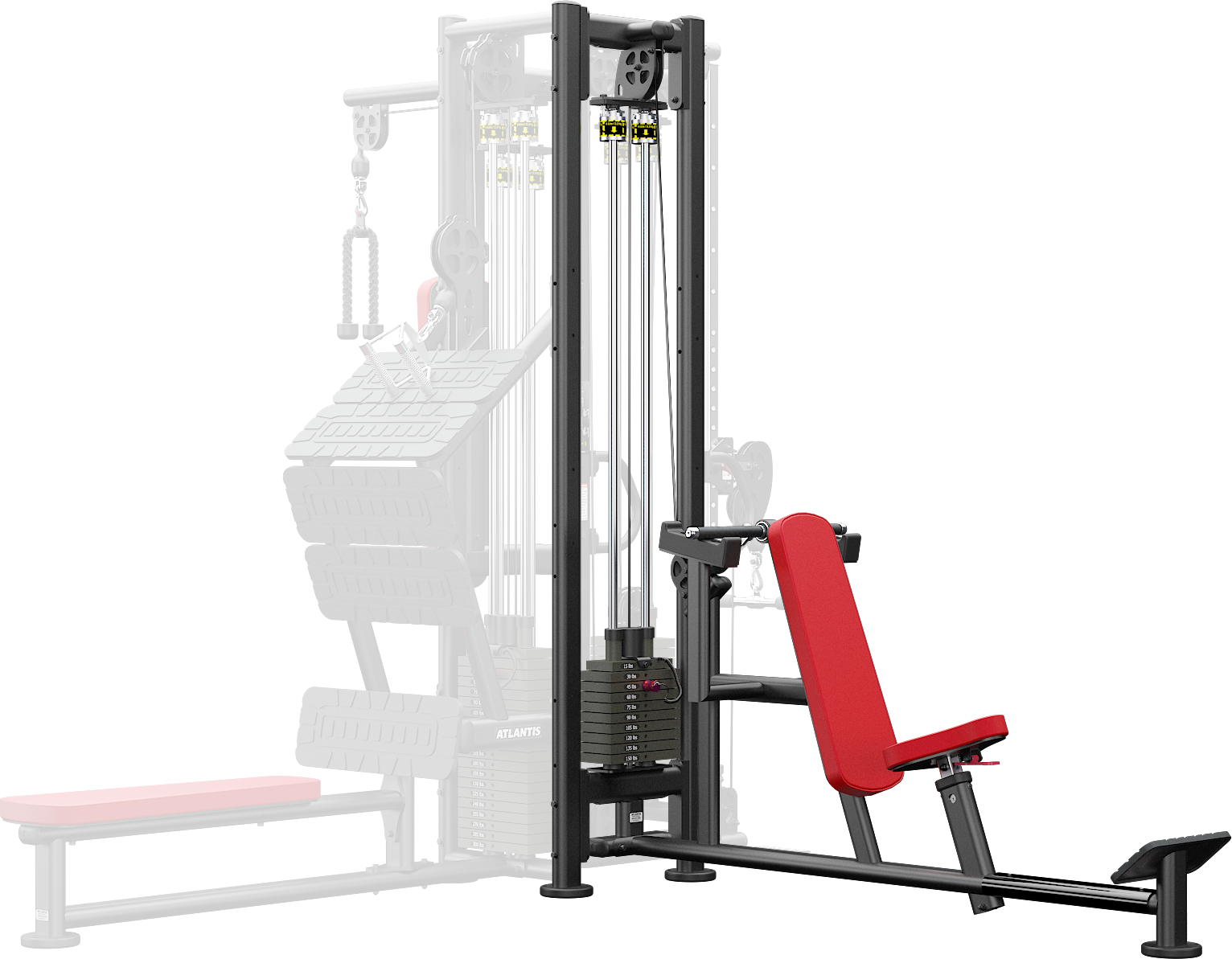 Overhead triceps (T161 model) – Pure Muscle + Athletics