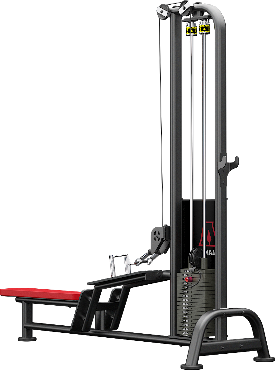 Unilateral Low Row – Pure Muscle + Athletics