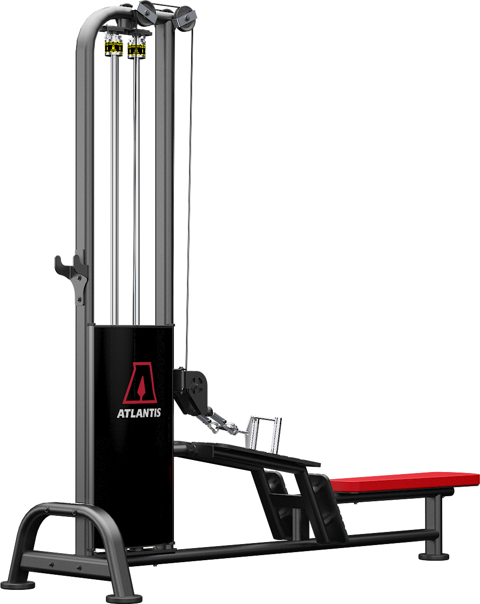 Unilateral Low Row – Pure Muscle + Athletics