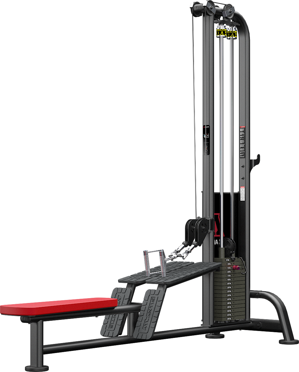 Unilateral Low Row – Pure Muscle + Athletics