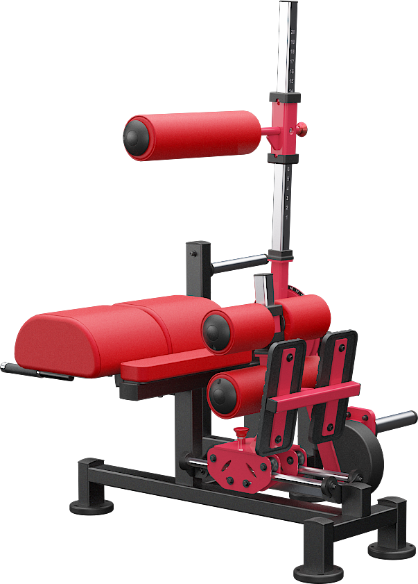 Assisted glute and ham developer – Pure Muscle + Athletics