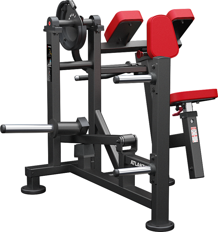 Preacher curl – Pure Muscle + Athletics